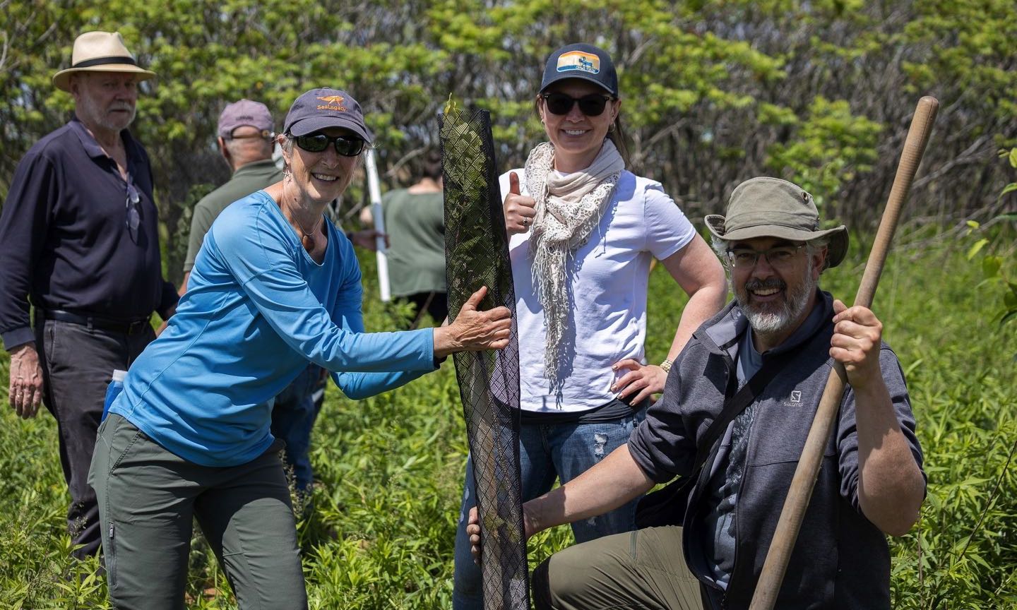 L’extraordinaire projet de la SNAP Québec: planter 100 000 arbres sur l ...